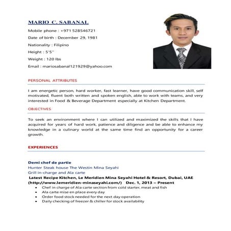 NEW CV MARIO | DOCX