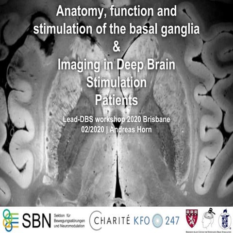 Function & Anatomy of the Basal Ganglia | PPTX
