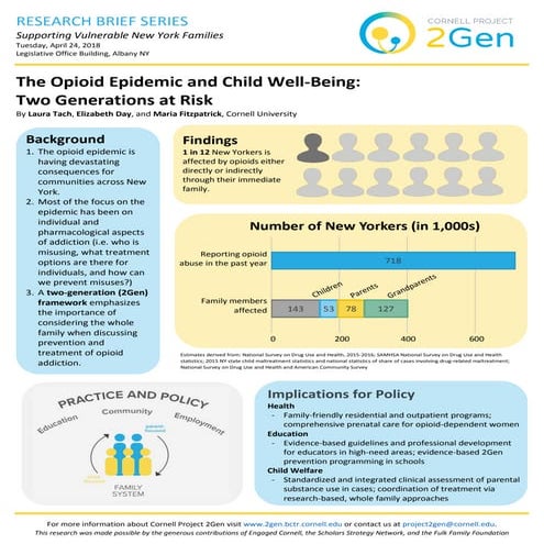 The Opioid Epidemic: Warning Signs and Next Steps | PDF