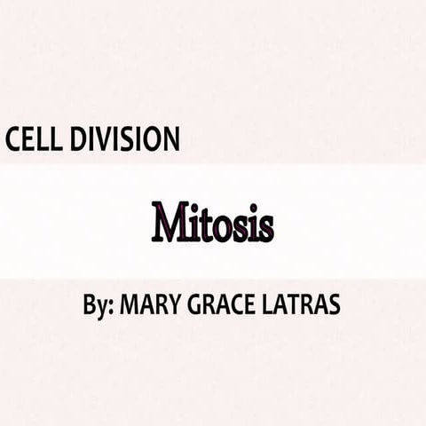 Cell Division: MITOSIS | PPT
