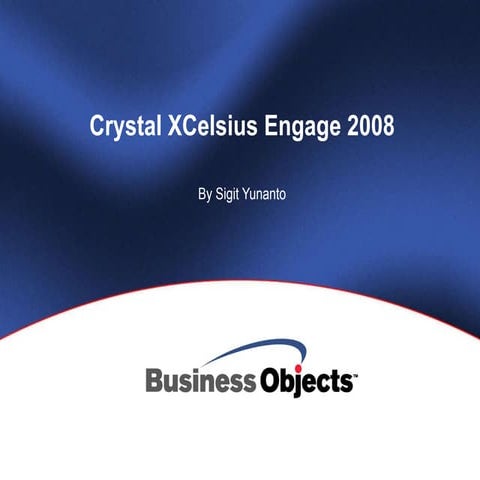 crystal xcelsius engage 2008 overview by dashboardcafe.com | Desktop ...