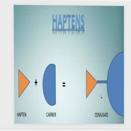haptens and epitopes in antigen and immunology | PDF