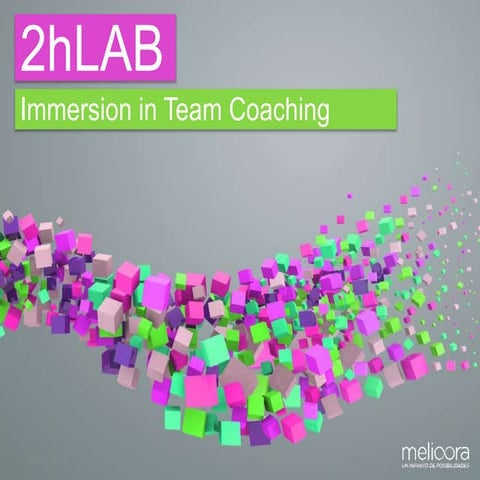 2 h lab immersion in team coaching | PPT