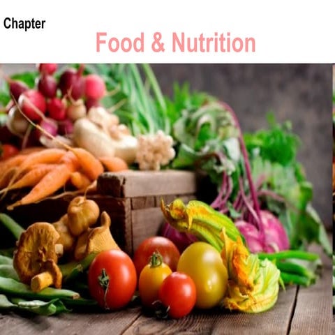 Nutrition and wellness | PPTX