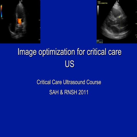 Image Optimization for Critical Care Ultrasound | PPT