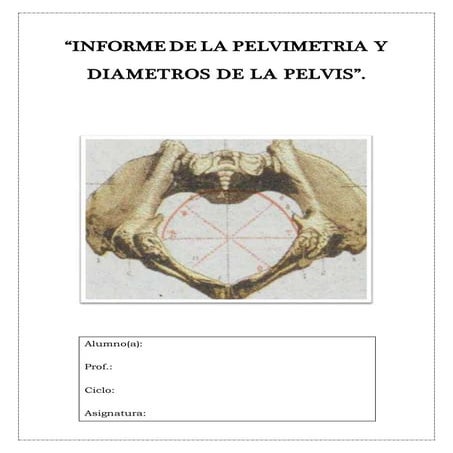 Placenta y membranas fetales Anatomia especializada | PPTX