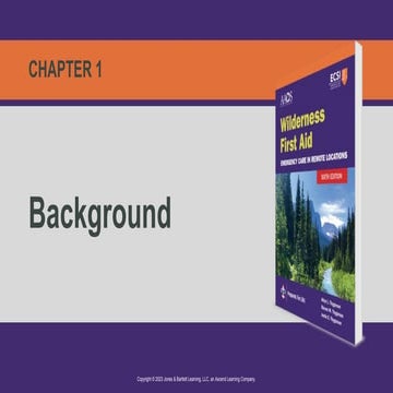 Chapter 1 Background | PPT