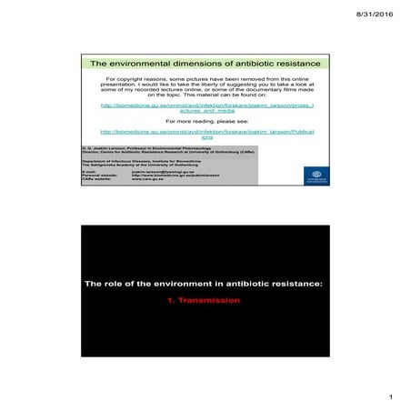 The environmental dimensions of antibiotic resistance | PDF