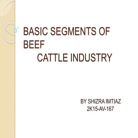 Basic Segments Of Beef Cattle Industry | PPTX