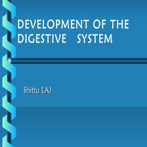 Embryology of Digestive system | PPT