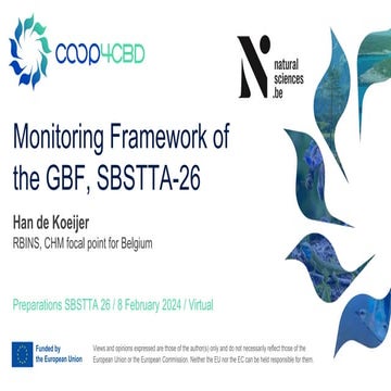 The KM-GBF monitoring framework –status & key messages. Joachim Töpper ...