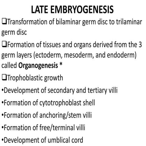 2 Late Embryogenesis .pptx