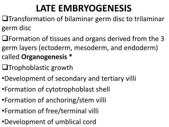 Trilaminar germ disc (week 3 embryology) | PPTX