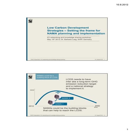 Low Carbon Development Strategies - Setting the frame for NAMA planning ...
