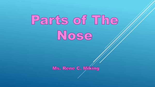 Sense of smell(nose.ppt grade 3) | PPT