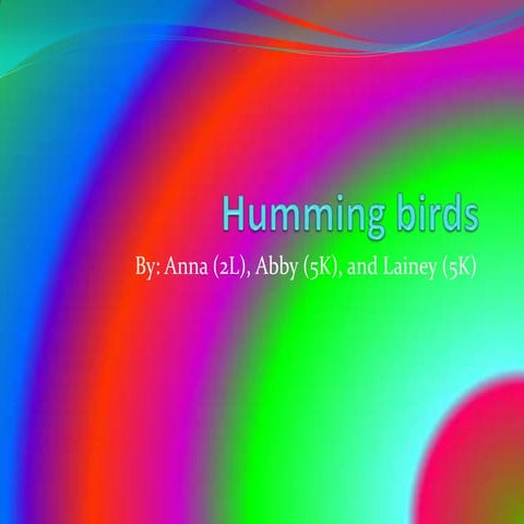 Hummingbirds | PPTX
