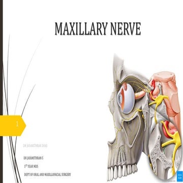The maxillary nerve | PPTX