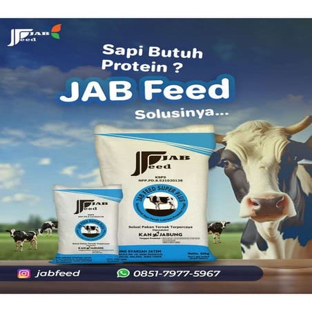 Pakan Konsentrat Sapi Protein Terbaik di Jawa Timur, CP. 082114659399 | PDF