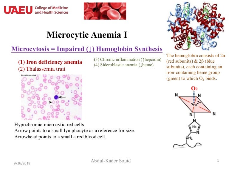 2 Microcytic Anemia I Iron Deficiency Ppt