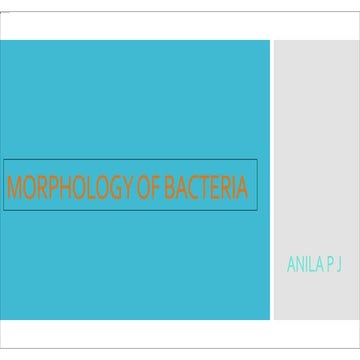 (2)MORPHOLOGY OF BACTERIA.pptx