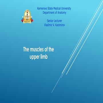 Surface marking upper limb | PPTX