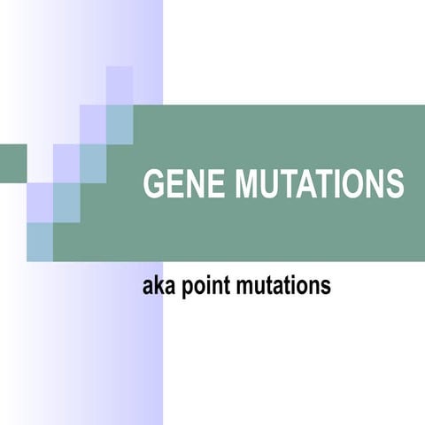 Gene mutations | PPT