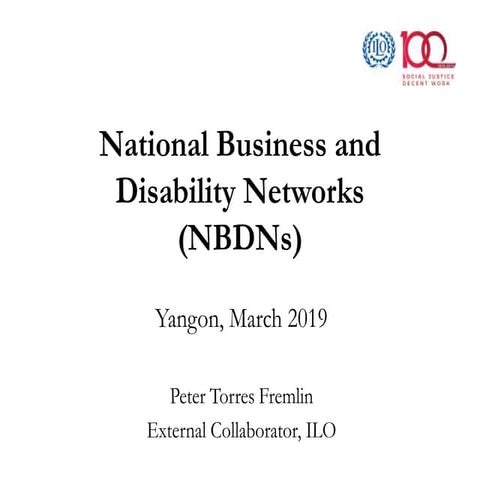 2 National Business and Disability Networks | PDF