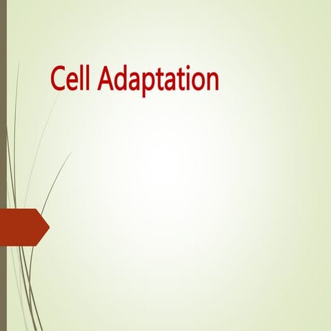 2nd.CELL ADAPTATION.by dr tehmeena..pico