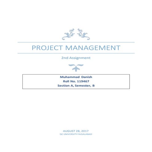 Project Management 2nd assignment | PDF