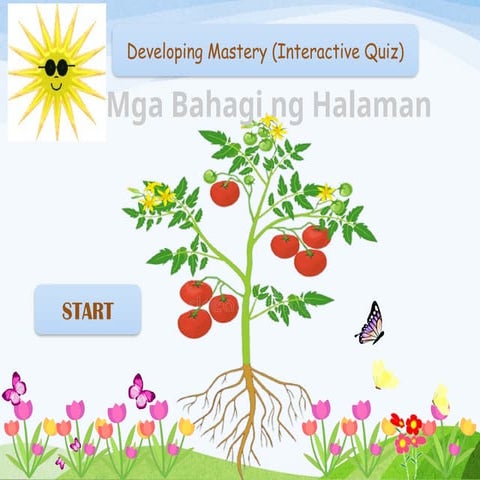 2ND COT PARTS OF A PLANT developing mastery (interactive ppt.).pptx