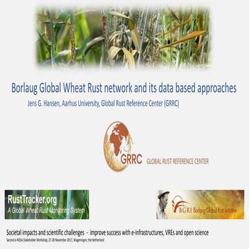 Tracking the wheat rust pathogens | PPTX