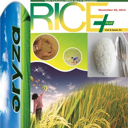 1 Origin of Rice in the world | PPT