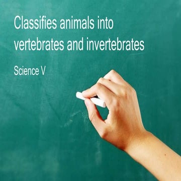 Ppt1 invertebrates