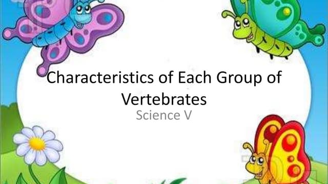 Classification of animals | PPT