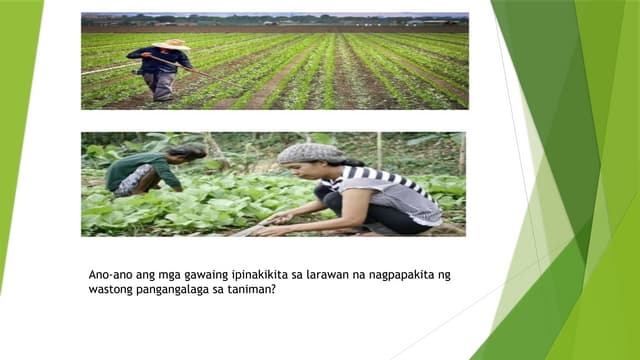 16 EPP-AGRI.Aralin 16-Paraan ng Paggamit ng Kagamitang Paghahalaman.pptx