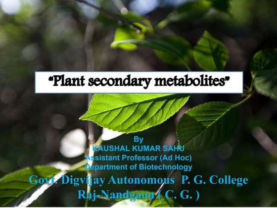 primary and secondary metabolites | PPT