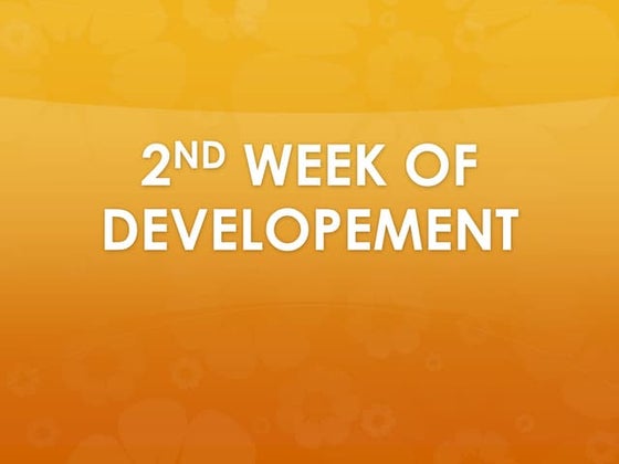 Second week of development | PPT
