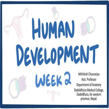 2nd week of Human development .embryology | PPTX