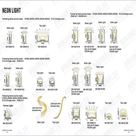 LED flex neon strip lights catalog popular building choice | PDF