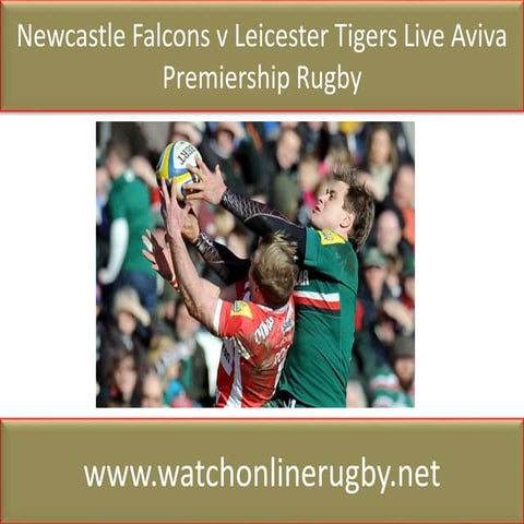 newcastle falcons v leicester tigers live aviva premiership rugby ...