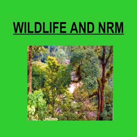 wildlife and nrm | PPT