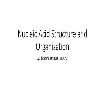 2 Nucleic Acid Structure and Organization.pptx