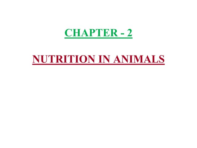 Nutrition in Plants | PPT