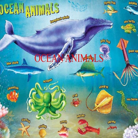 Ocean animals - 2 | PPTX