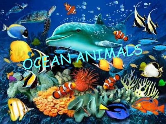 Ocean animals - 2 | PPTX | Zoos & Aquariums | Attractions