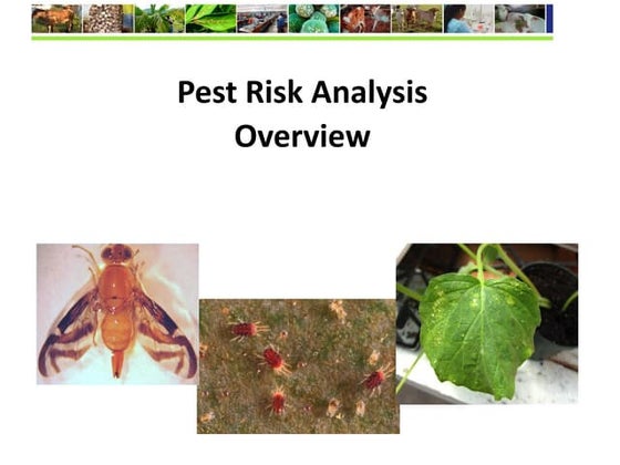 Pest risk analysis | PPTX