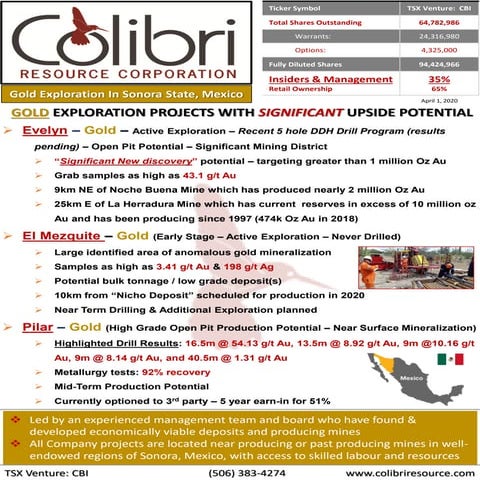International Business Project | PPT