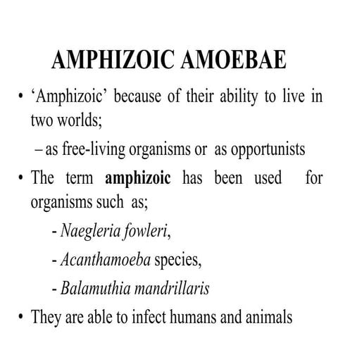 2_Pathogenic free-living amoeba - 2 - Pharmacy Regular.pdf