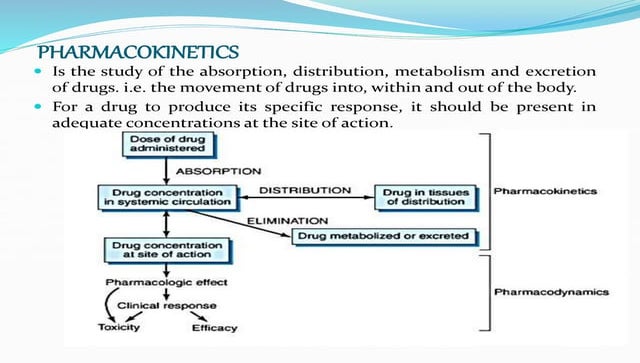 Pharmacokinetics (1).ppt