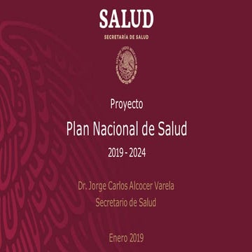 Plan Nacional de Salud 2024-2030 en México | PDF